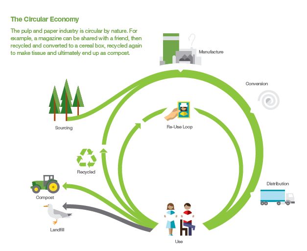 Infographic: Papermaking as a Model of the Circular Economy | 3BL Media
