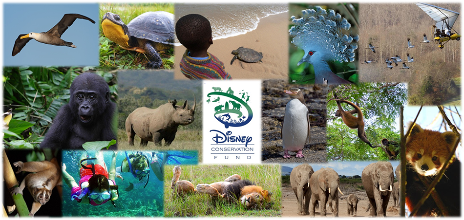 Disney Conservation Fund Announces 2015 Grant...