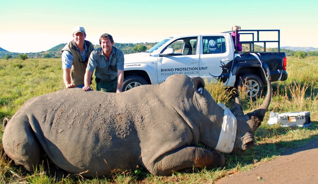 The Fight Against Poaching | 3BL Media