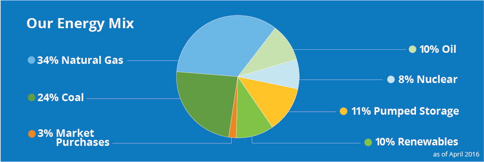 Consumers Energy Reports Out on Sustainable Energy Mix