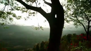 Fresh From Our Farmers, Crain Ranch