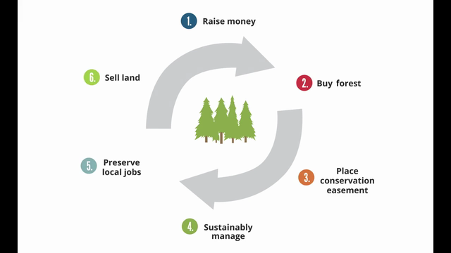 How the Conservation Fund is Protecting America’s...
